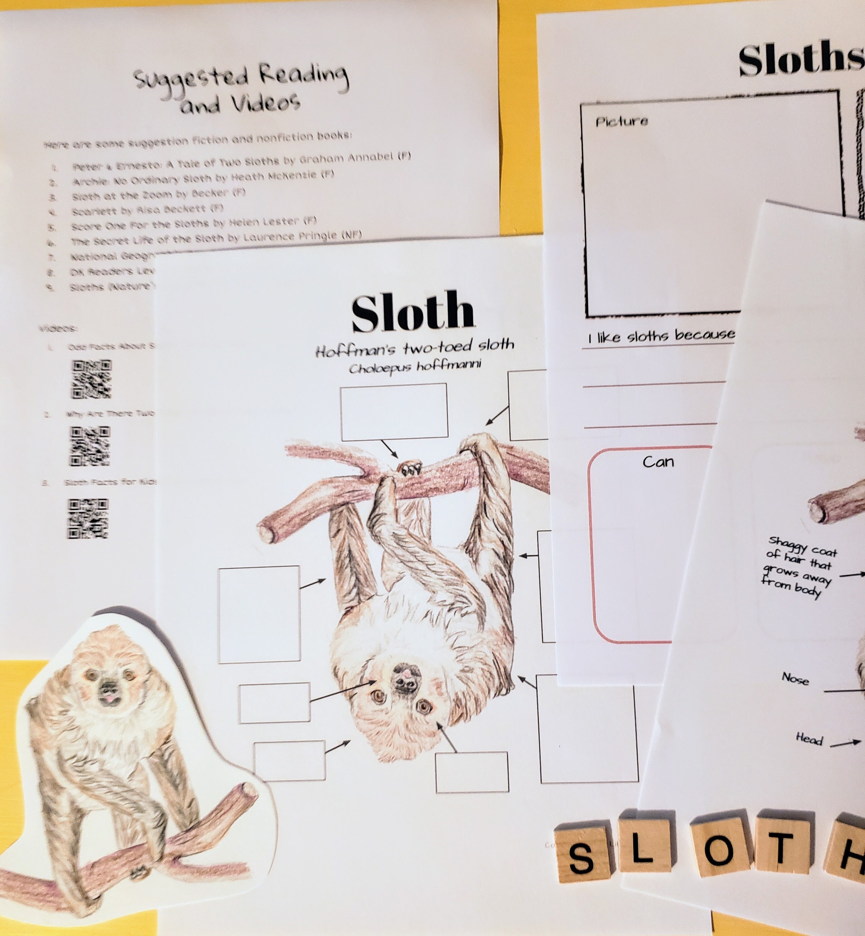 Fun and Educational Hoffman's Two-toed Sloth Activity for Kids ...