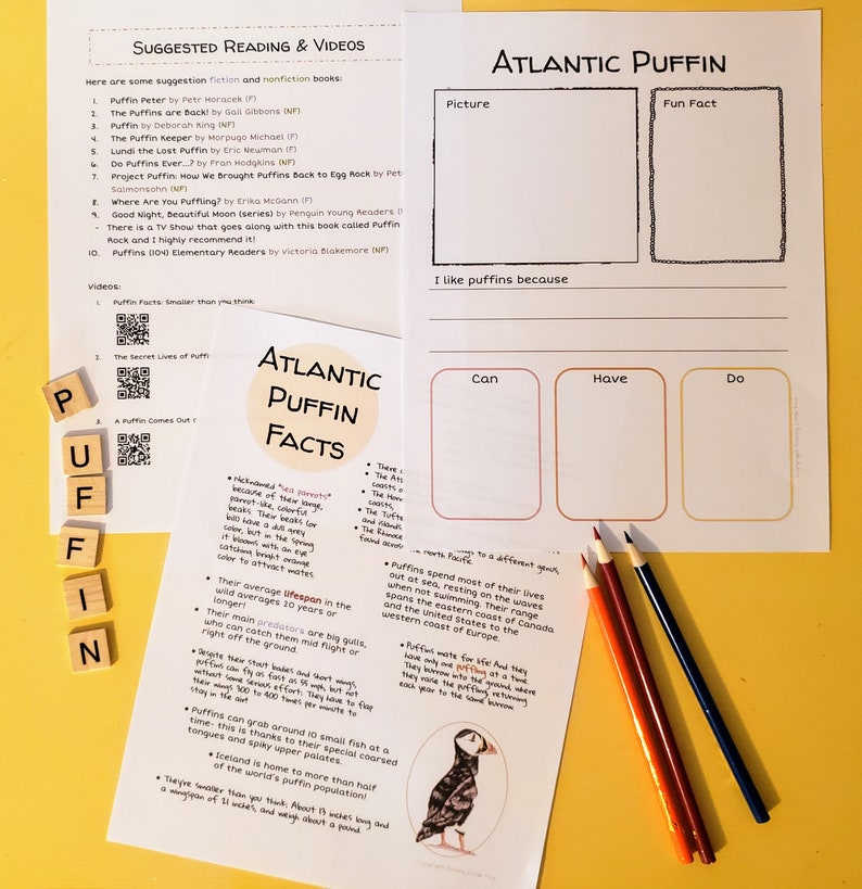 Unit Study on the Atlantic Puffin | Anatomy and Fun Facts: Grades 1-5 ...