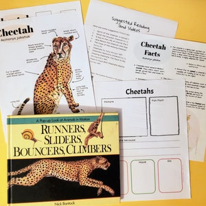 Unit Study Cheetah Anatomy & Fun Facts Science and Nature Unit Study ...