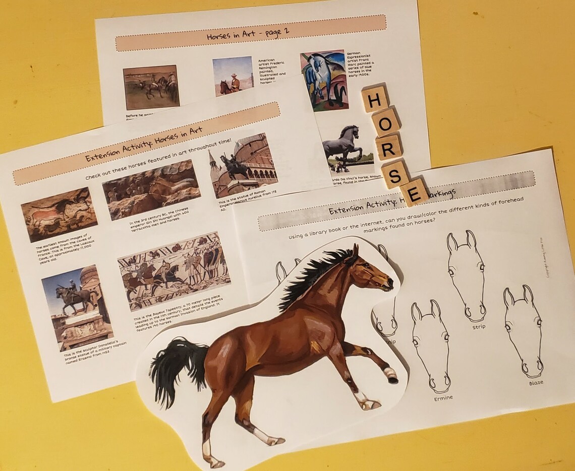 Unit Study on Horse Anatomy and Fun Facts | Grades 1-5 | Science Nature ...