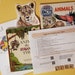 Unit Study African Lion Anatomy and Facts - Lesson Plans, Homeschool ...