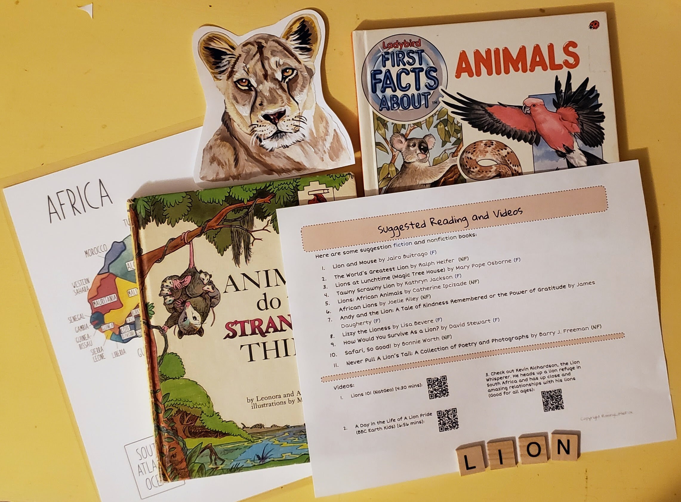 Unit Study African Lion Anatomy and Facts - Lesson Plans, Homeschool ...