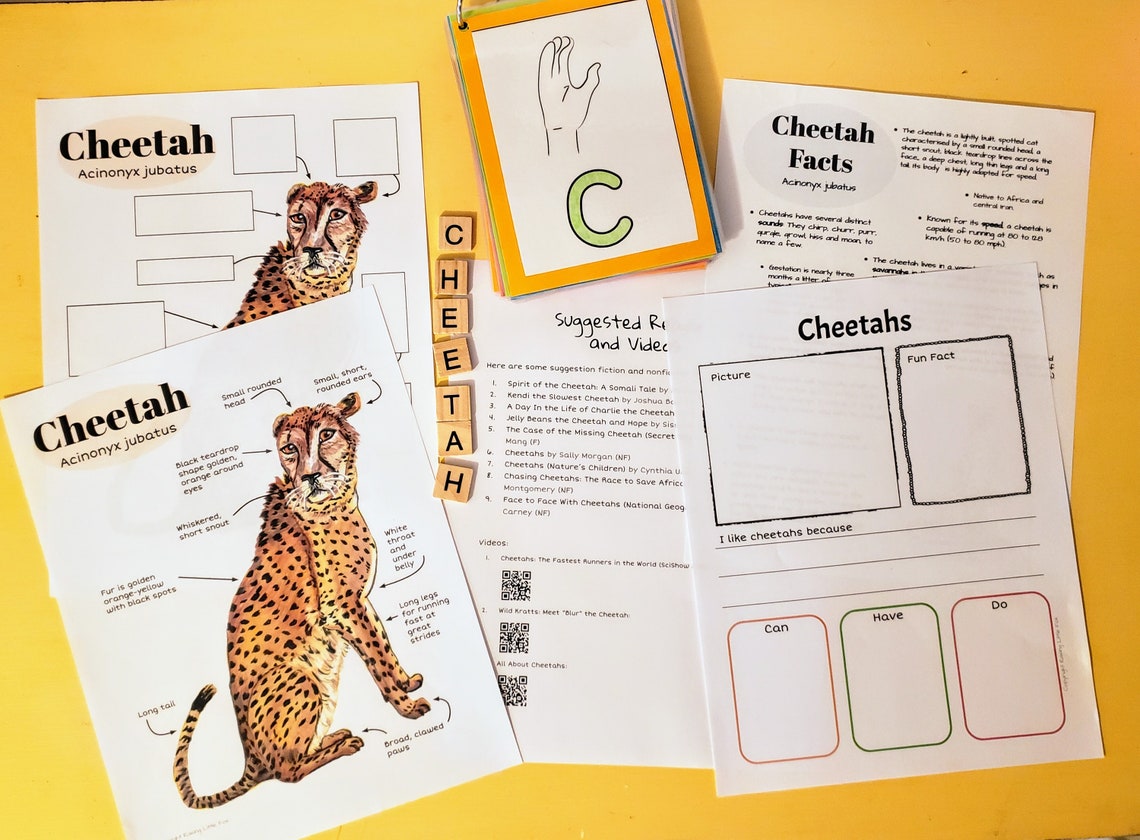 Unit Study Cheetah Anatomy & Fun Facts Science and Nature Unit Study ...