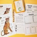 Unit Study Cheetah Anatomy & Fun Facts Science and Nature Unit Study ...