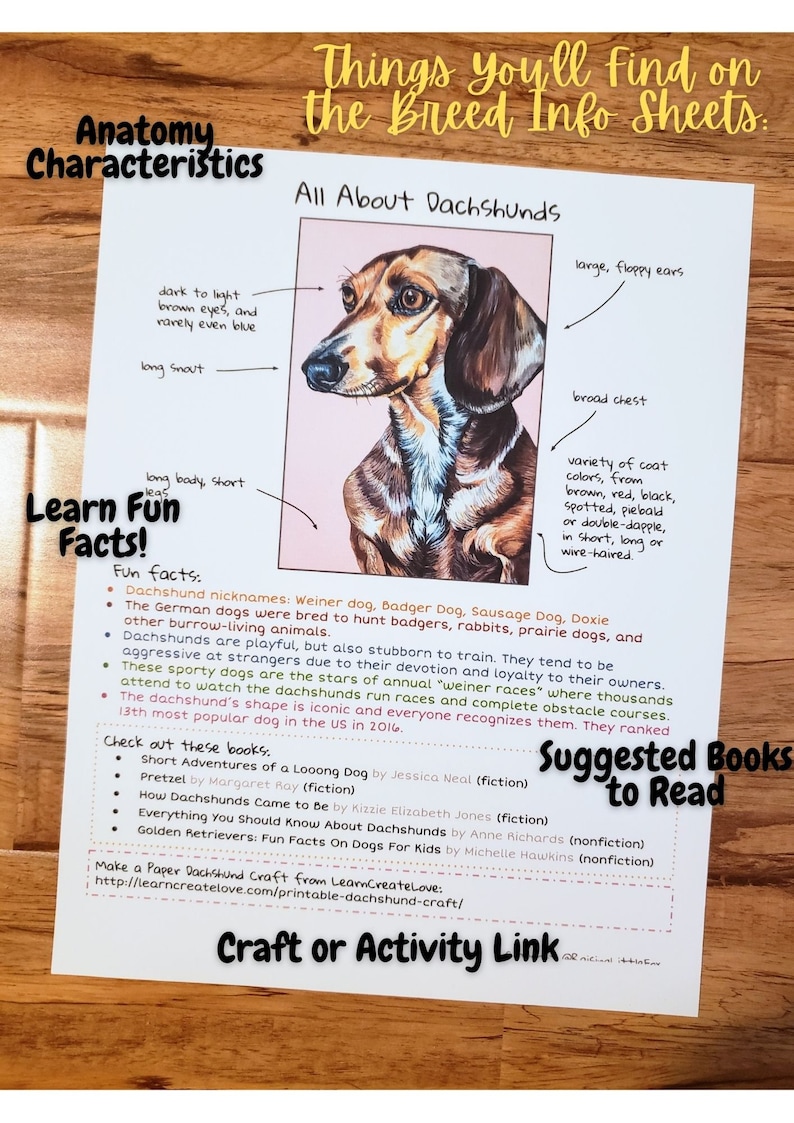 Dog Unit Study - Grades 1-5+ | Science, Art, Writing, Reading & More ...