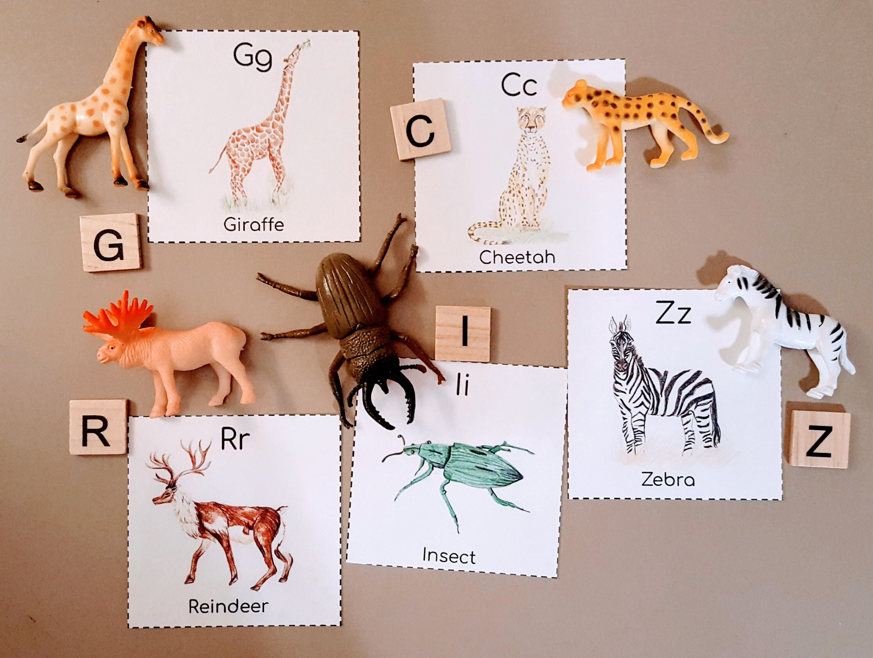 Vintage Hand-drawn Alphabet Animal Cards for Kids | Printable Digital ...