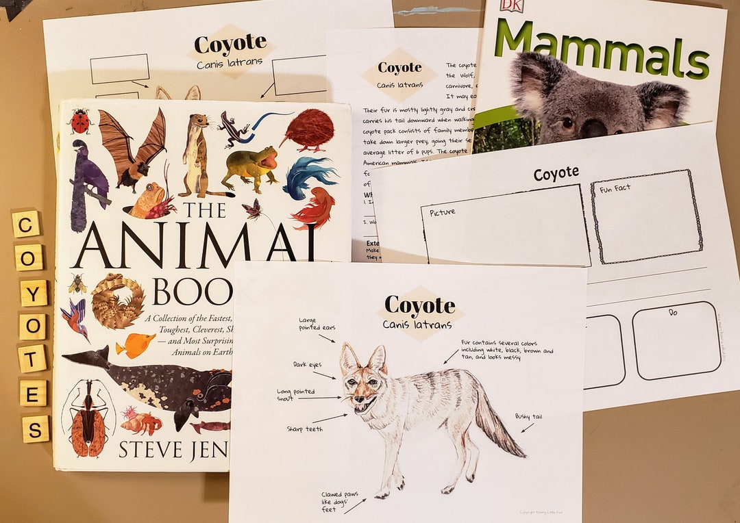 Coyote: Science Unit Study Anatomy and Facts - Lesson Plans, Homeschool ...