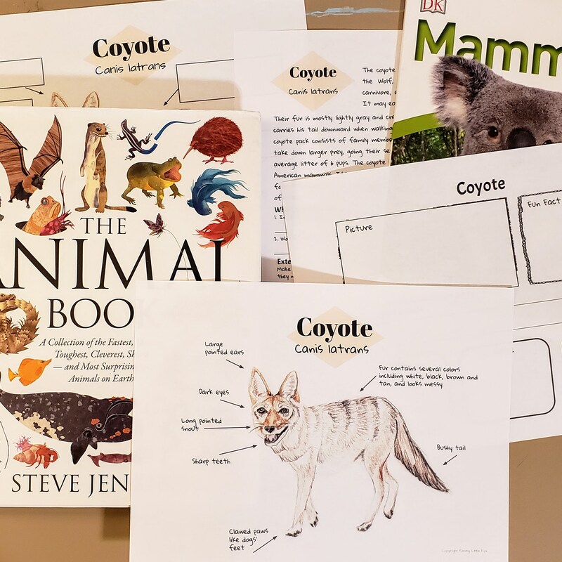 raisinglittlefox - Etsy