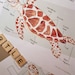 Sea Turtle Lesson Plan for Co-op, Homeschool or Classroom Study - Unit ...