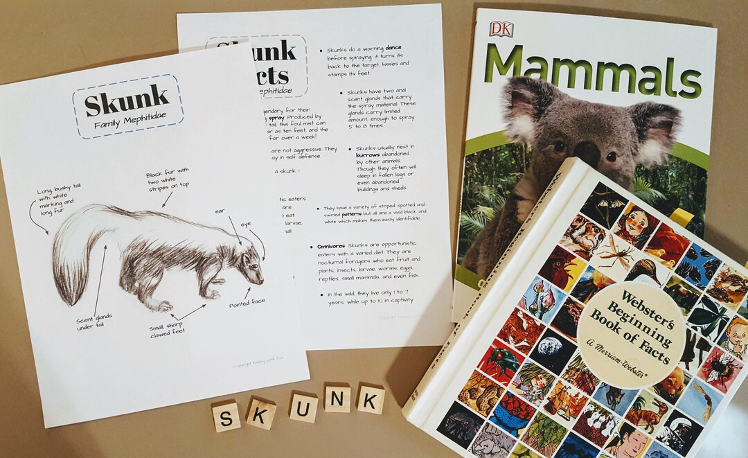 Unit Study Skunk Anatomy and Facts - Lesson Plans, Homeschool ...