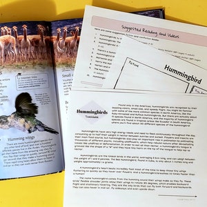Hummingbird Study Lesson Plan | Anatomy Chart, Labels, & Worksheet for ...