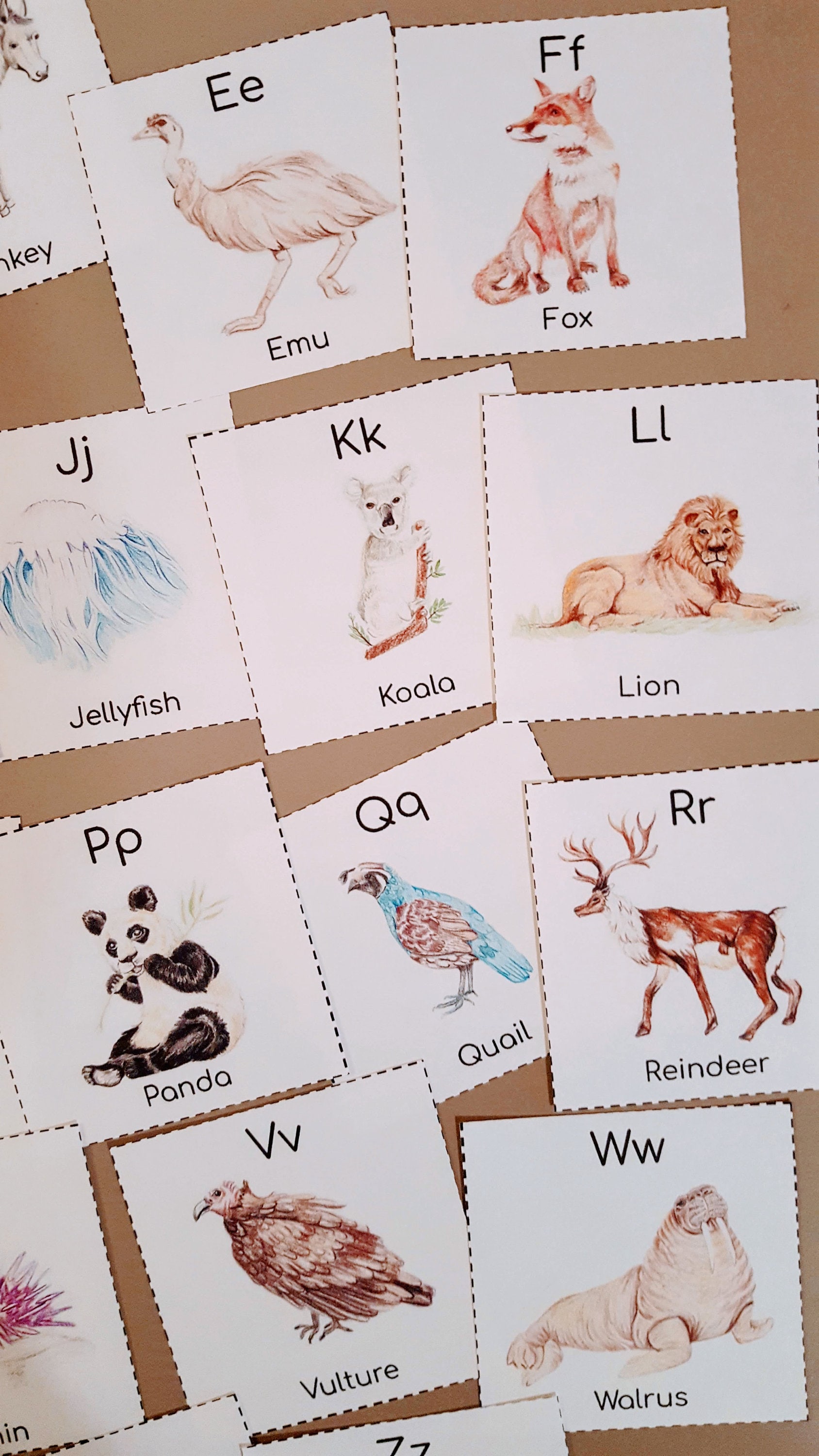 Vintage Hand-drawn Alphabet Animal Cards for Kids Printable Digital ...
