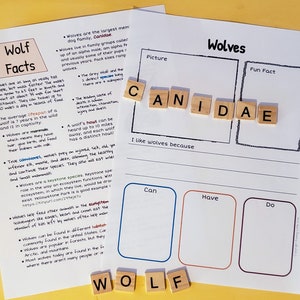Unit Study on Wolf Anatomy and Fun Facts | Grades 1-5 | Science Nature ...