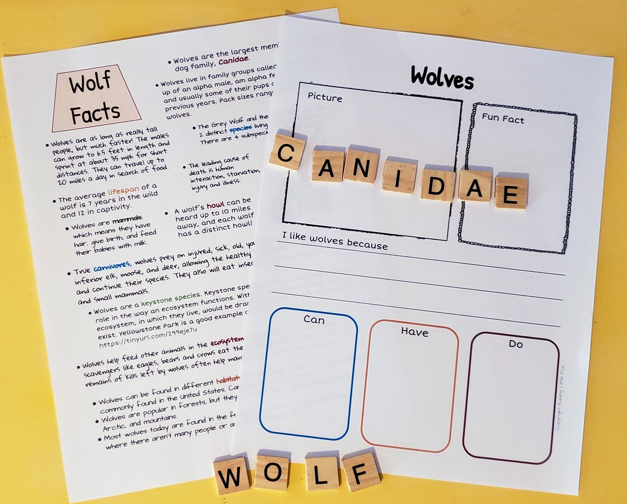 Unit Study on Wolf Anatomy and Fun Facts | Grades 1-5 | Science Nature ...