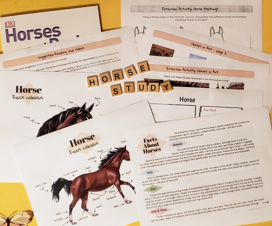 Unit Study on Horse Anatomy and Fun Facts | Grades 1-5 | Science Nature ...