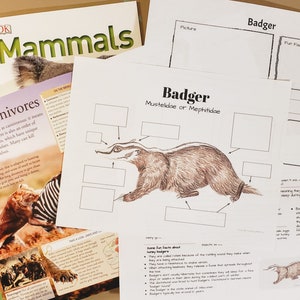 Badger Unit Study Anatomy and Facts - Lesson Plans, Homeschool ...