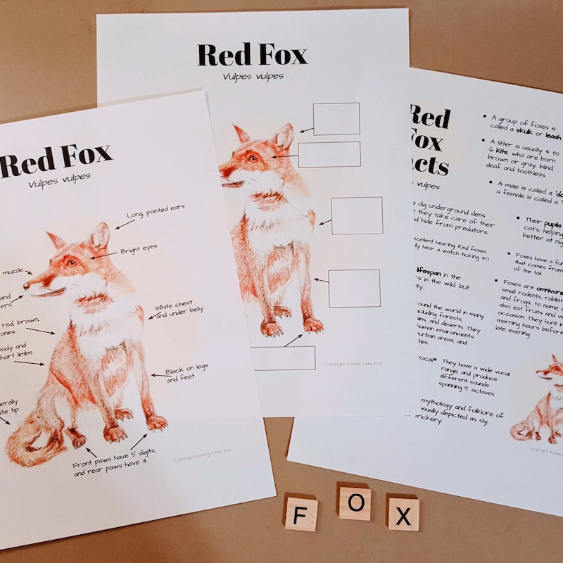 raisinglittlefox - Etsy