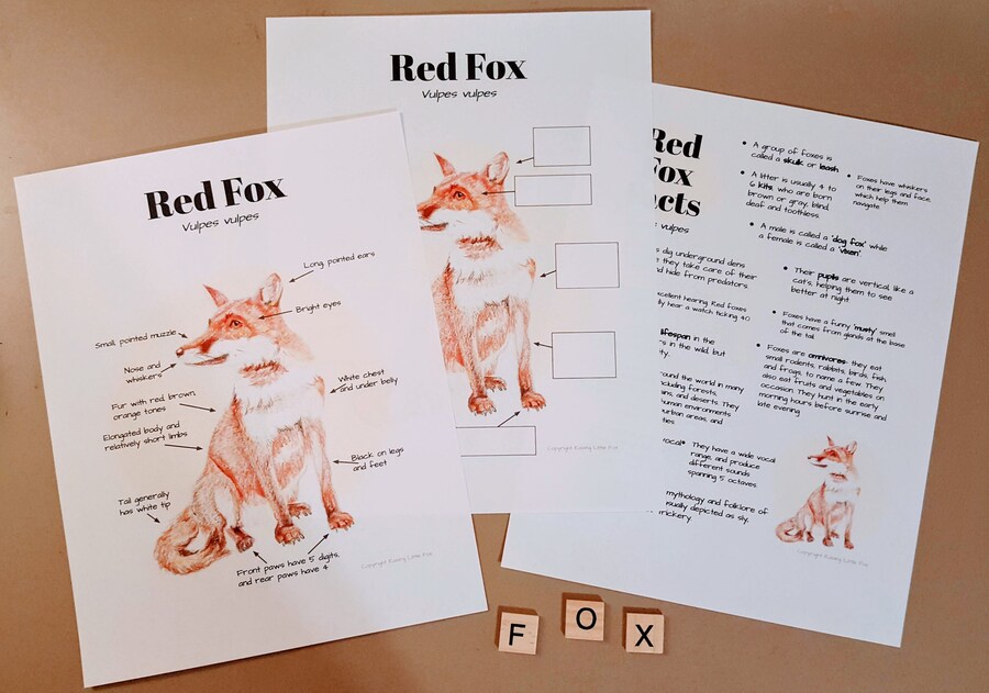 raisinglittlefox - Etsy