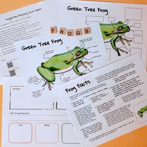 Unit Study on Frogs and Toads - Grades 1-5 Science Activity ...