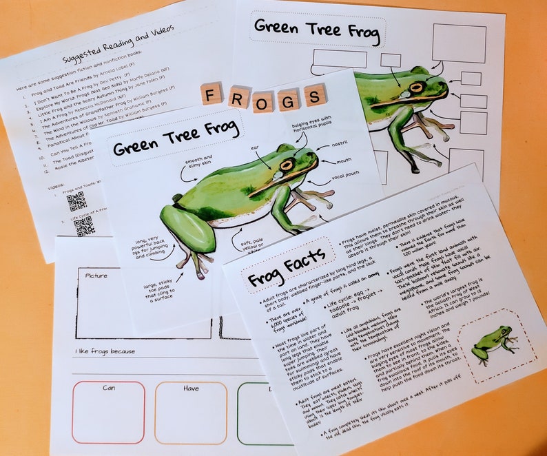 Unit Study on Frogs and Toads - Grades 1-5 Science Activity ...