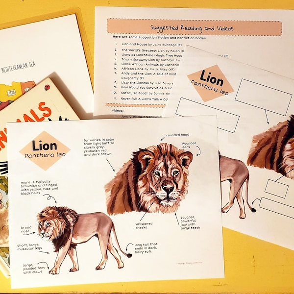 Lion Study African - Etsy