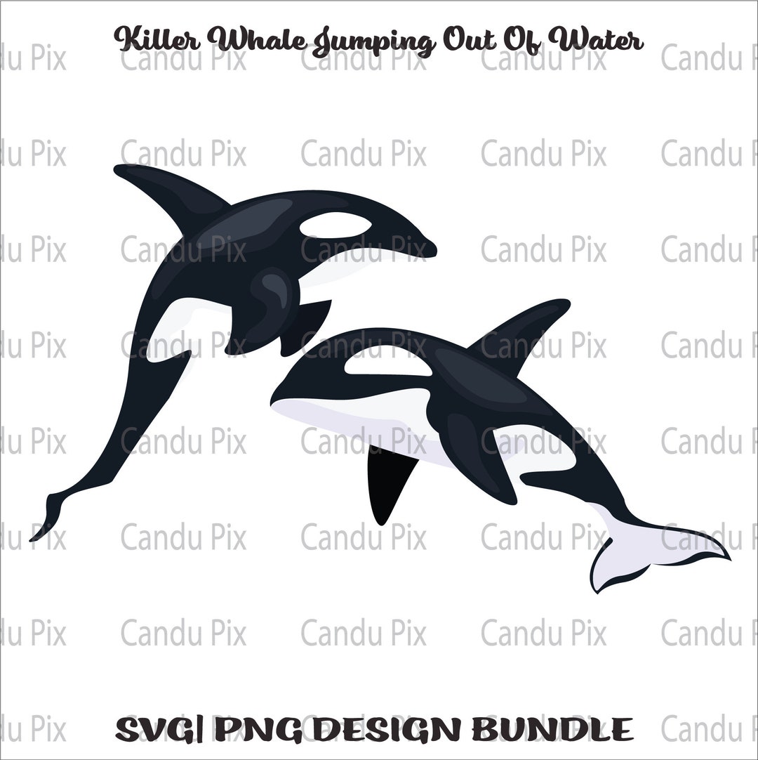 Killer Whale Svg, Nursery Svg, Killer Whale Png, Nursery Png, Svg ...