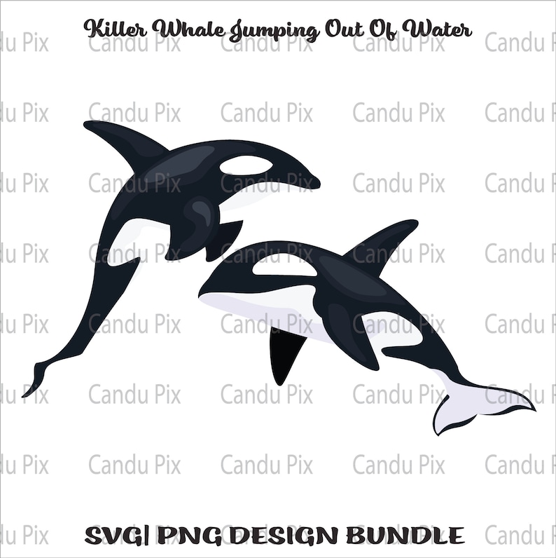 Killer Whale Svg, Nursery Svg, Killer Whale Png, Nursery Png, Svg ...