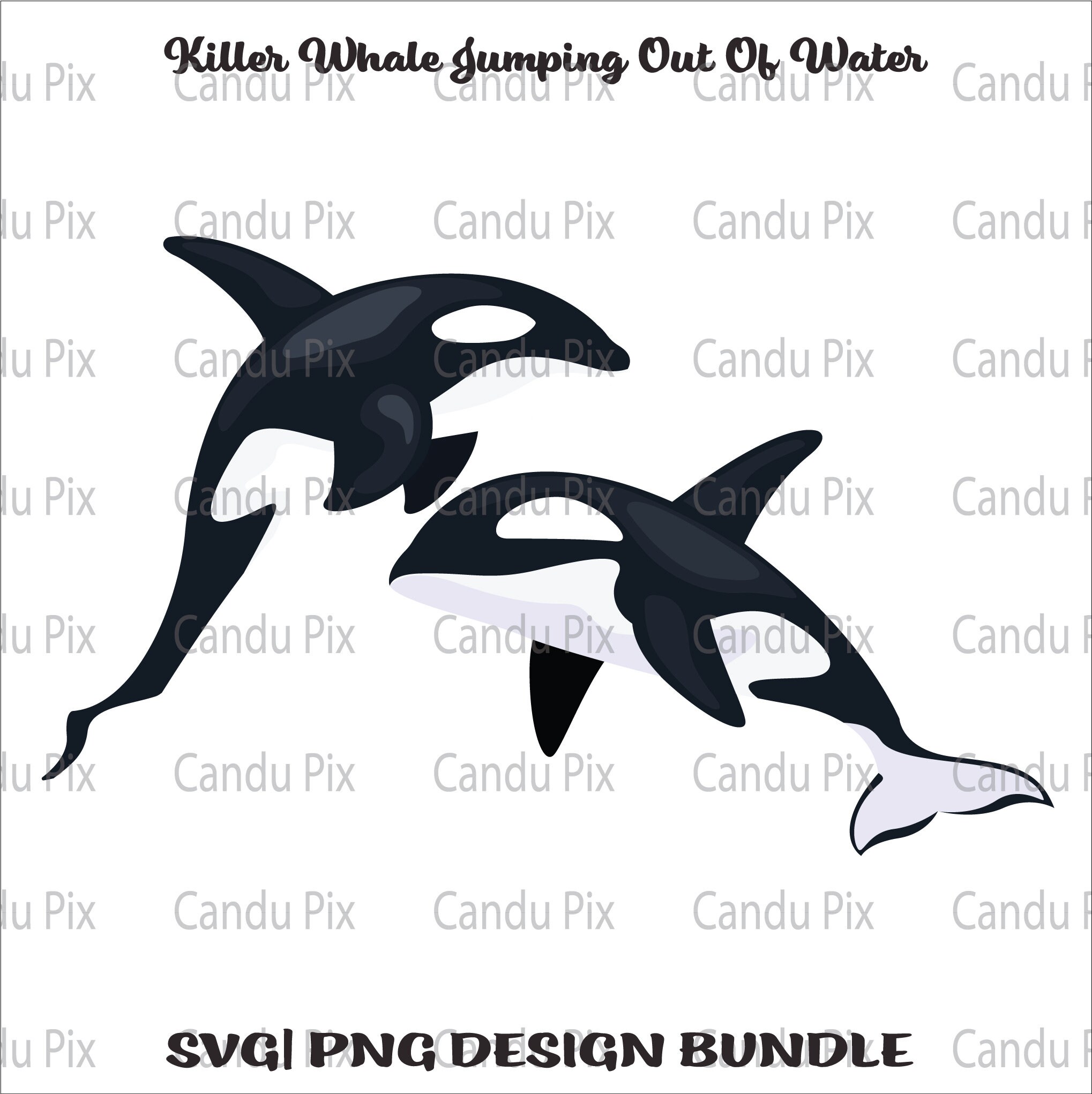 Killer Whale Svg Nursery Svg Killer Whale Png Nursery Png - Etsy