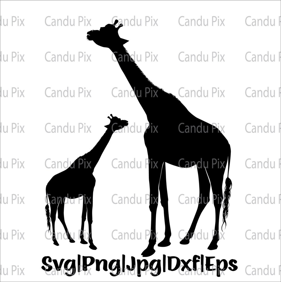 Jirafa svg jirafa svg jirafa leyendo png jirafa png - Etsy España