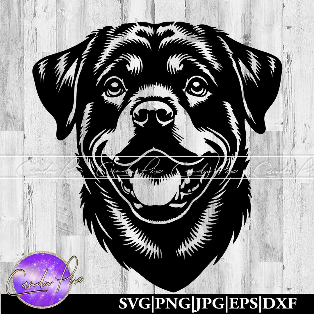 Rottweiler Svg, Surprised Svg, Rottweiler Png, Surprised Png, Cute Dog ...