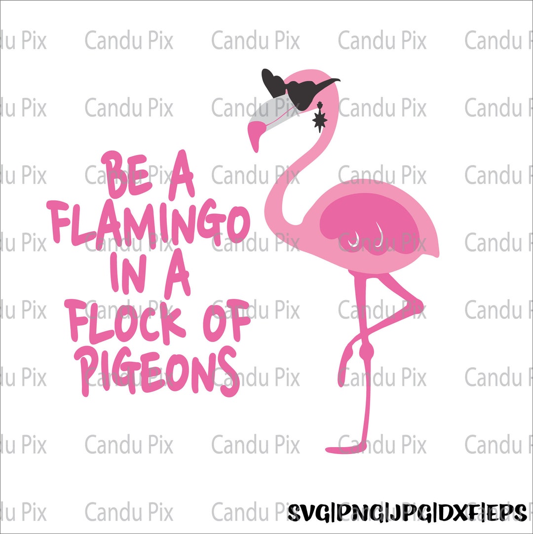 Be A Flamingo in A Flock of Pigeons Svg, Beach Svg, Be A Flamingo Png ...