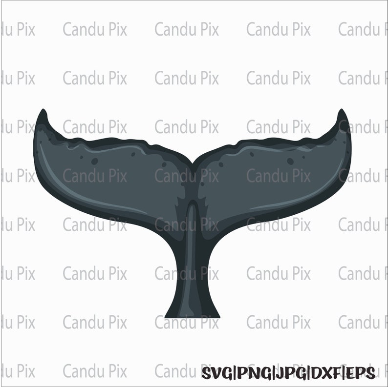Whale Tail Svg Humpback Svg Whale Tail Png Humpback Png | Etsy