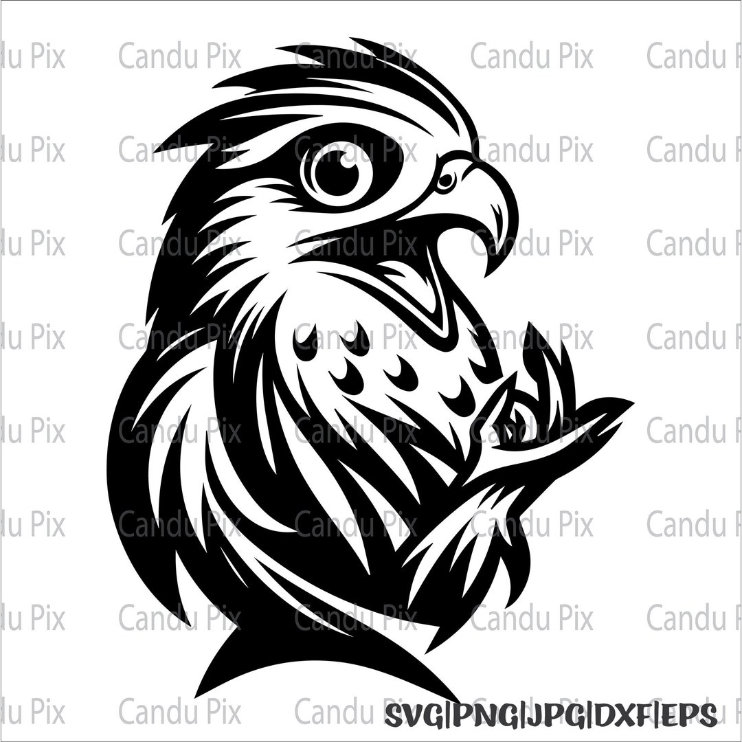 Comical Falcon Svg, Wildlife Bird Svg, Comical Falcon Png, Wildlife ...