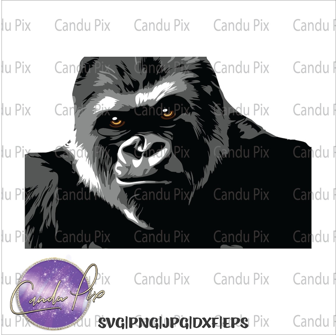 Gorilla Svg, Great Ape Svg, Gorilla Png, Great Ape Png, Gorilla Eps ...