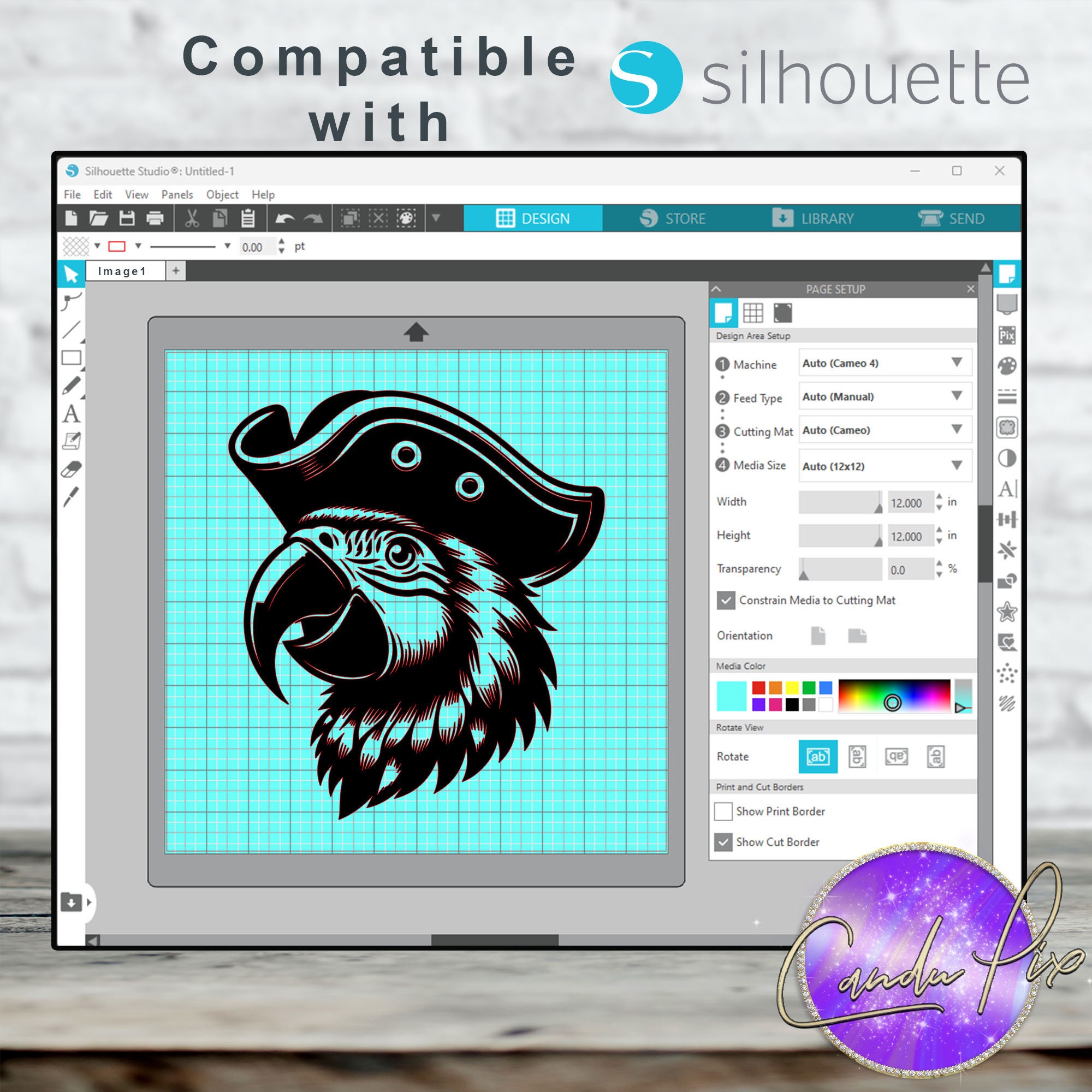 Parrot Pirate Svg, Arrrgh Svg, Parrot Pirate Png, Arrrgh Png, Beach Svg ...
