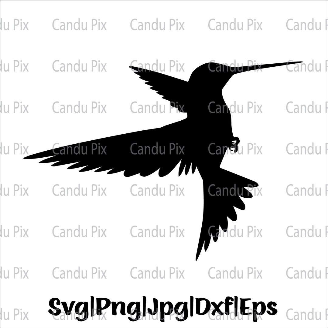 Colibrí svg pájaro svg colibrí png pájaro png cricut - Etsy México