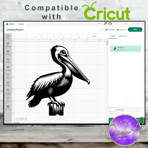 Pelican Svg, Pelican Png, Pelican Dxf, Beach Svg, Beach Png, Sea Salt ...