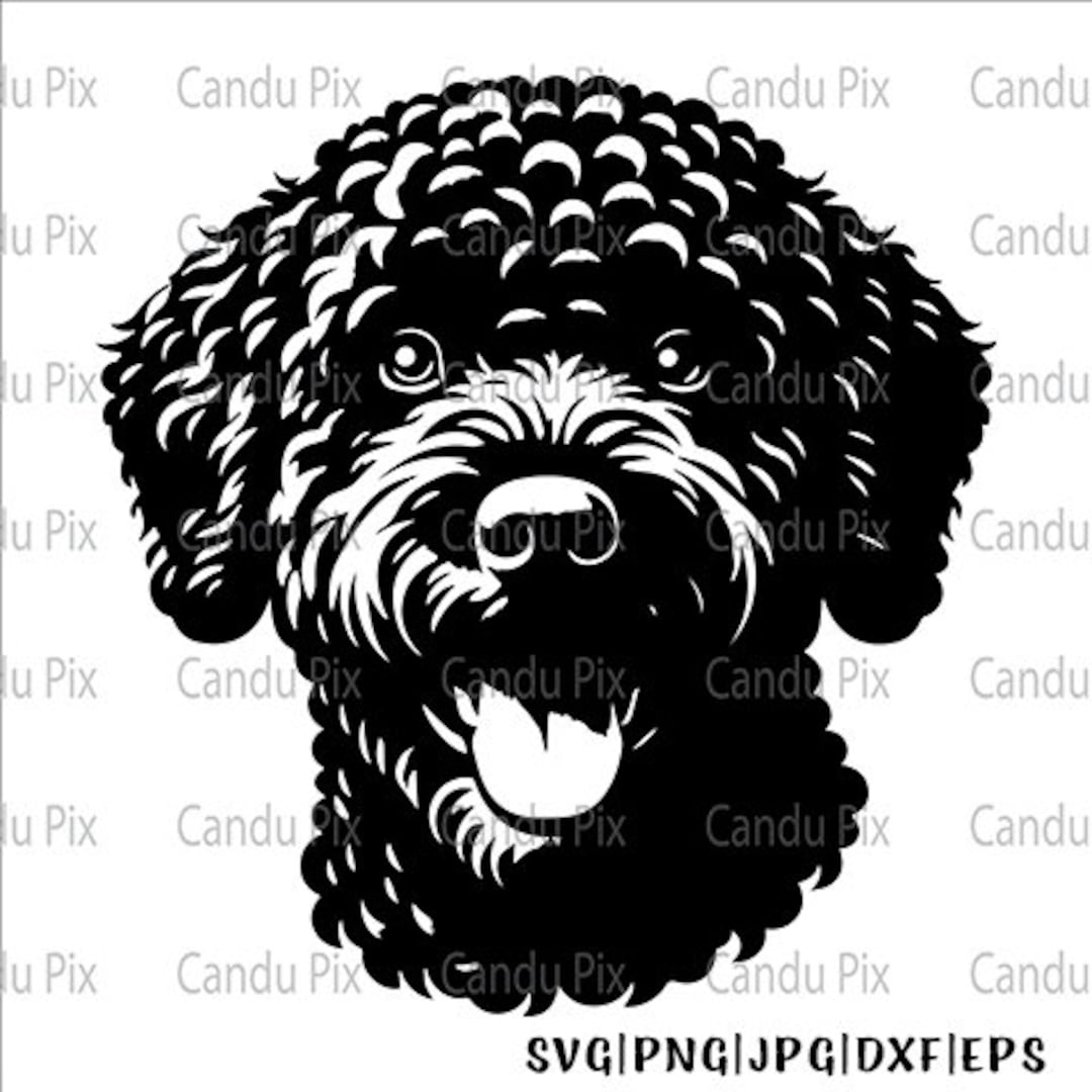 Lagotto Svg, Romagnolo Svg, Lagotto Png, Romagnolo Png, Lagotto Dxf ...