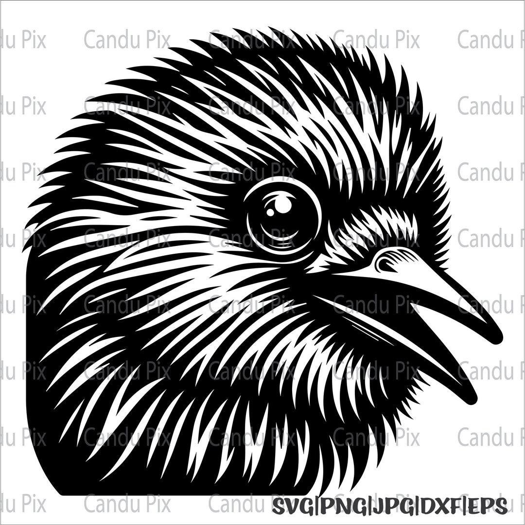 Happy Kiwi Svg, Head Svg, Happy Kiwi Png, Head Png, Svg Png Dxf Eps Jpg ...