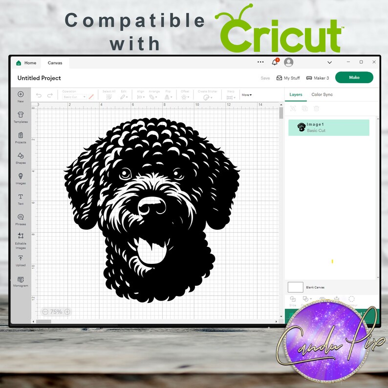 Lagotto Svg, Romagnolo Svg, Lagotto Png, Romagnolo Png, Lagotto Dxf ...