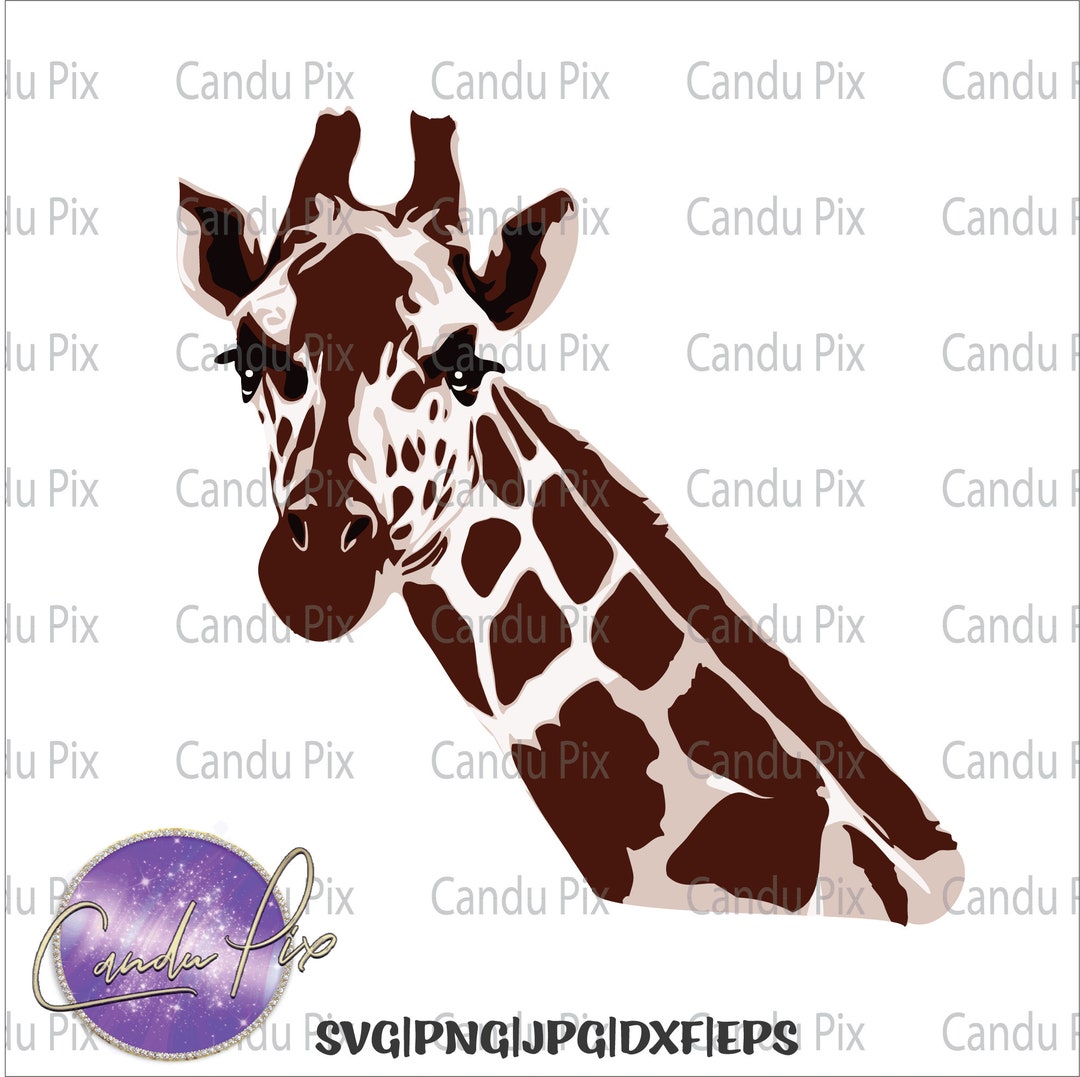 Jirafa Svg Zoo Animal Svg Jirafa Png Zoo Animal Png Cricut - Etsy México