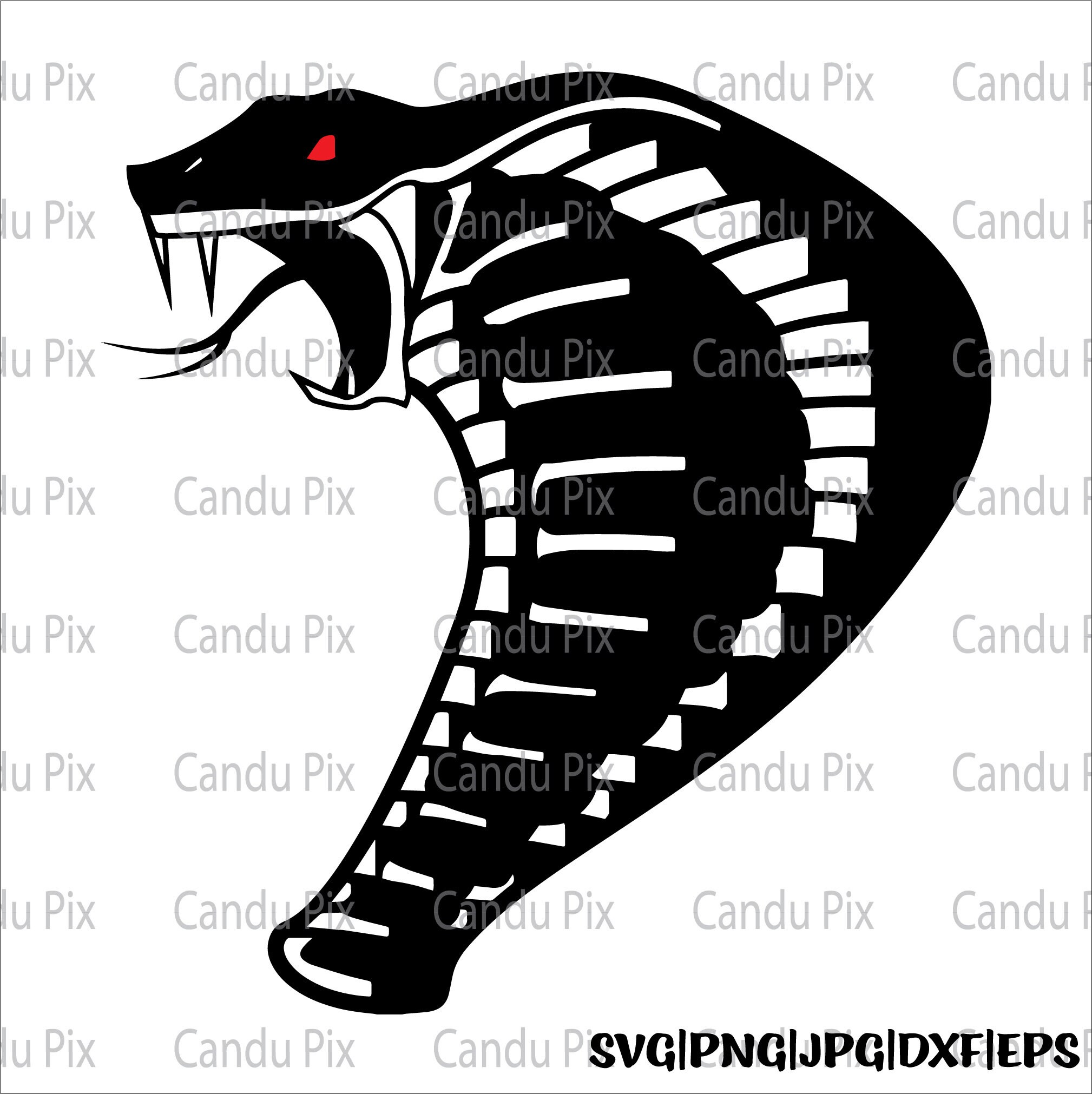 Cobra Viper Svg Snake Svg Cobra Png Snake Png Cricut - Etsy