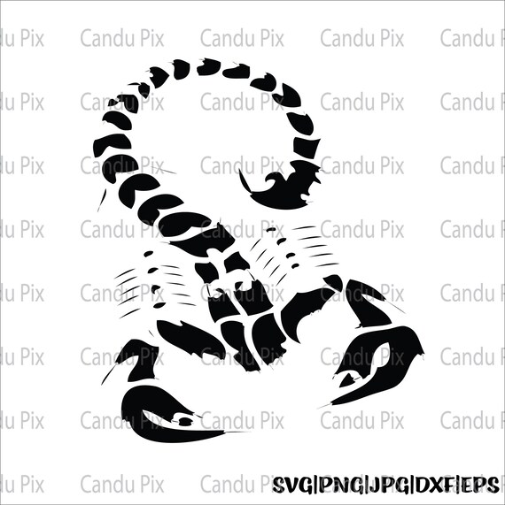 Scorpion Svg Spider Svg Scorpion Png Spider Png Cricut | Etsy