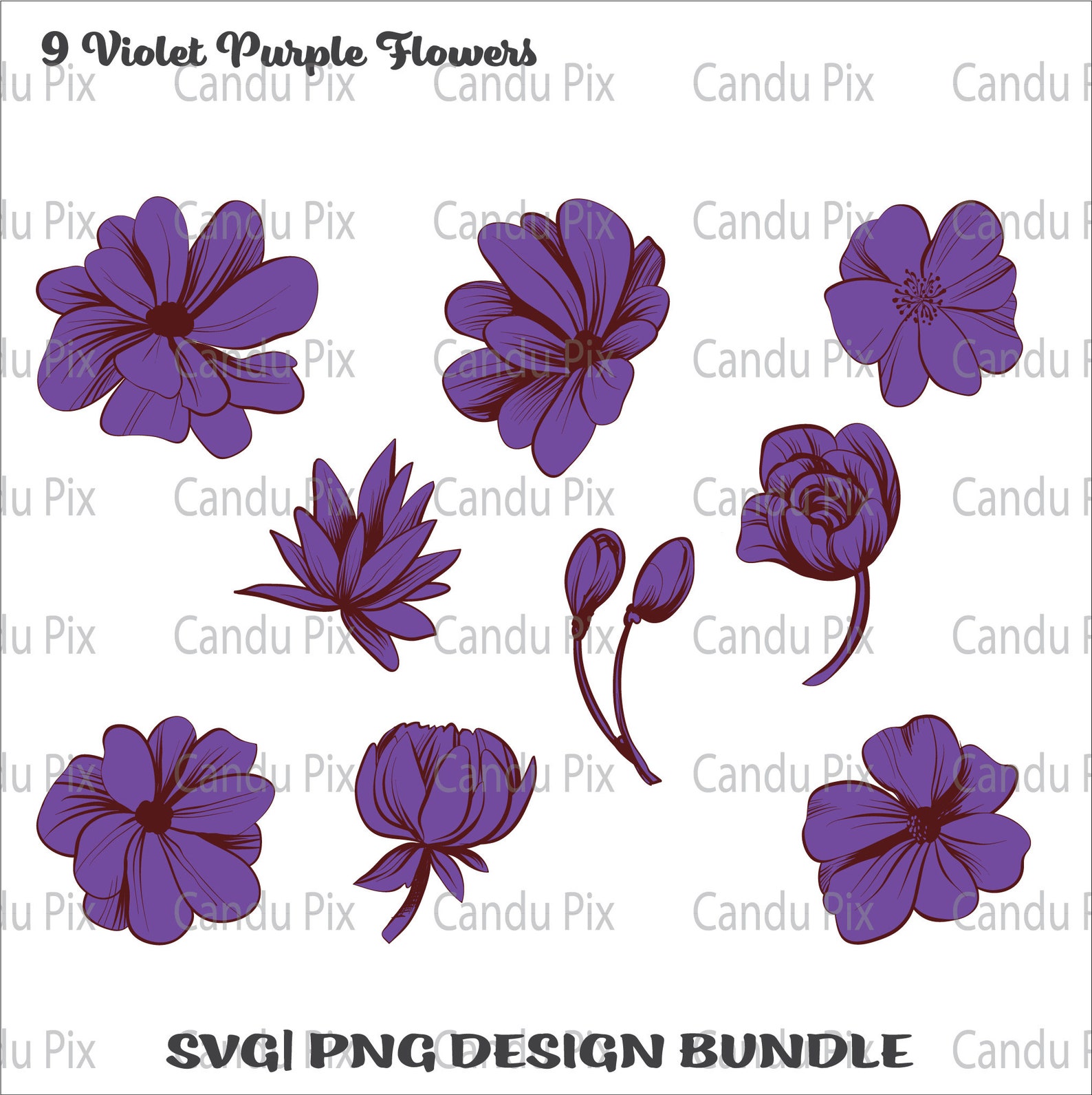 Violet Purple Flowers Design Bundle Svg Violet Purple Svg - Etsy