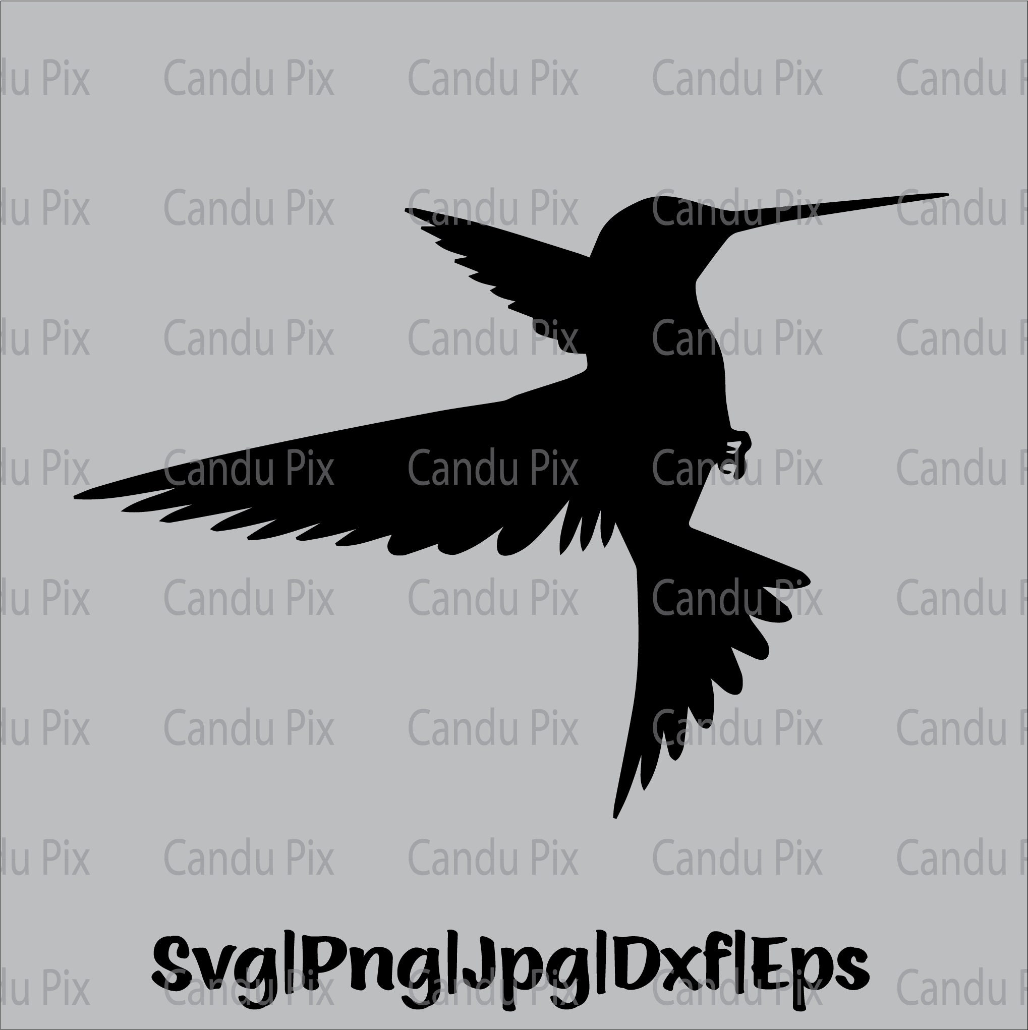 Colibrí svg pájaro svg colibrí png pájaro png cricut - Etsy México
