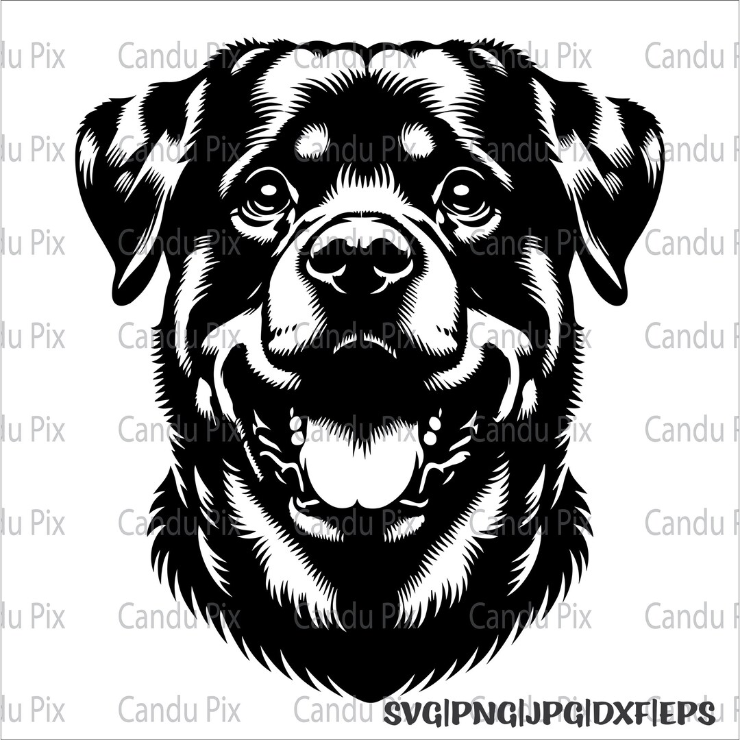Rottweiler, Pet Dog, Svg Png Dxf Eps Jpg, Black, 1 Layer Cut File ...