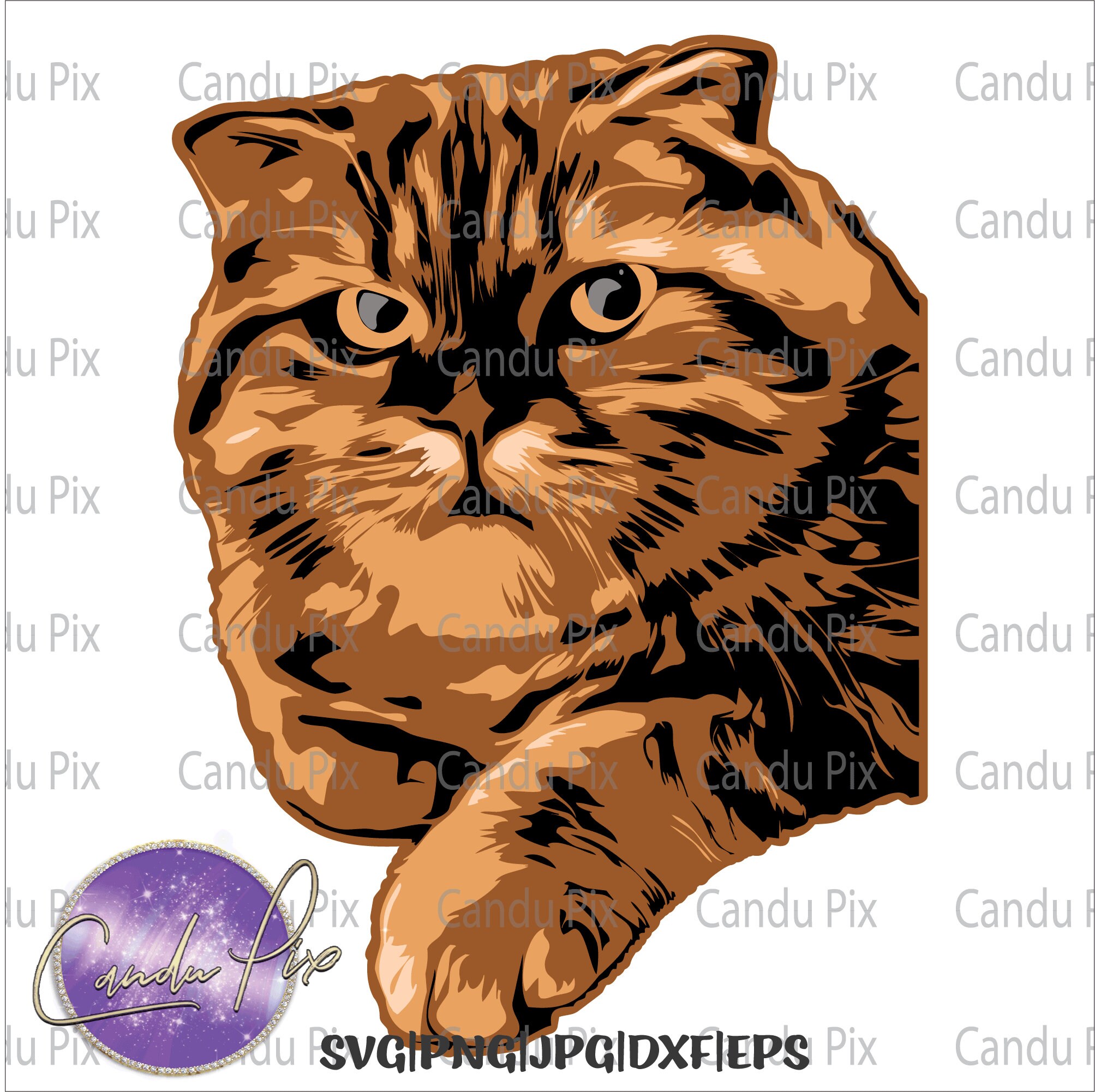 Persian Tabby Svg Orange Cat Svg Persian Tabby Png Orange - Etsy México