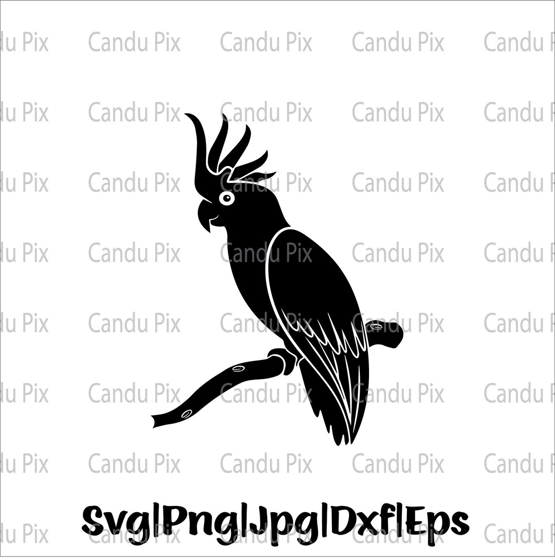 Cockatoo Parrot Svg, Smiling Parrot Svg, Cute Parrot Svg, Png Eps Jpg ...
