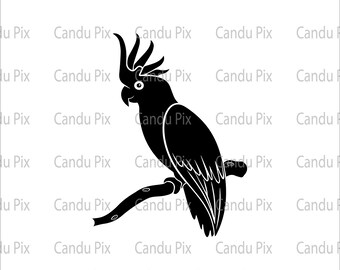 Cute Cockatoo Svg - Etsy