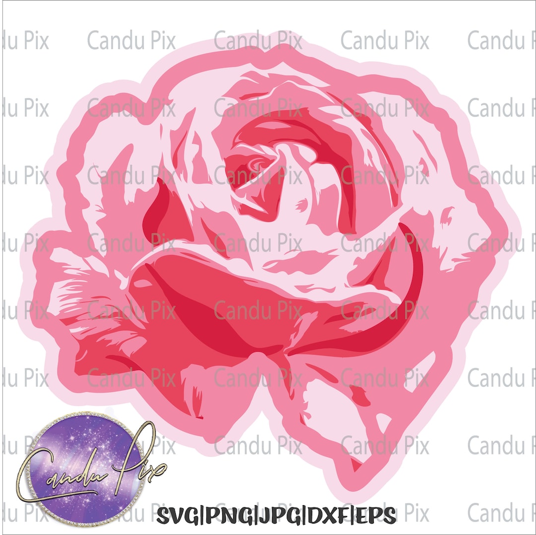 Pink Rose Svg, Flower Svg, Pink Rose Png, Flower Png, Pink Rose Eps ...